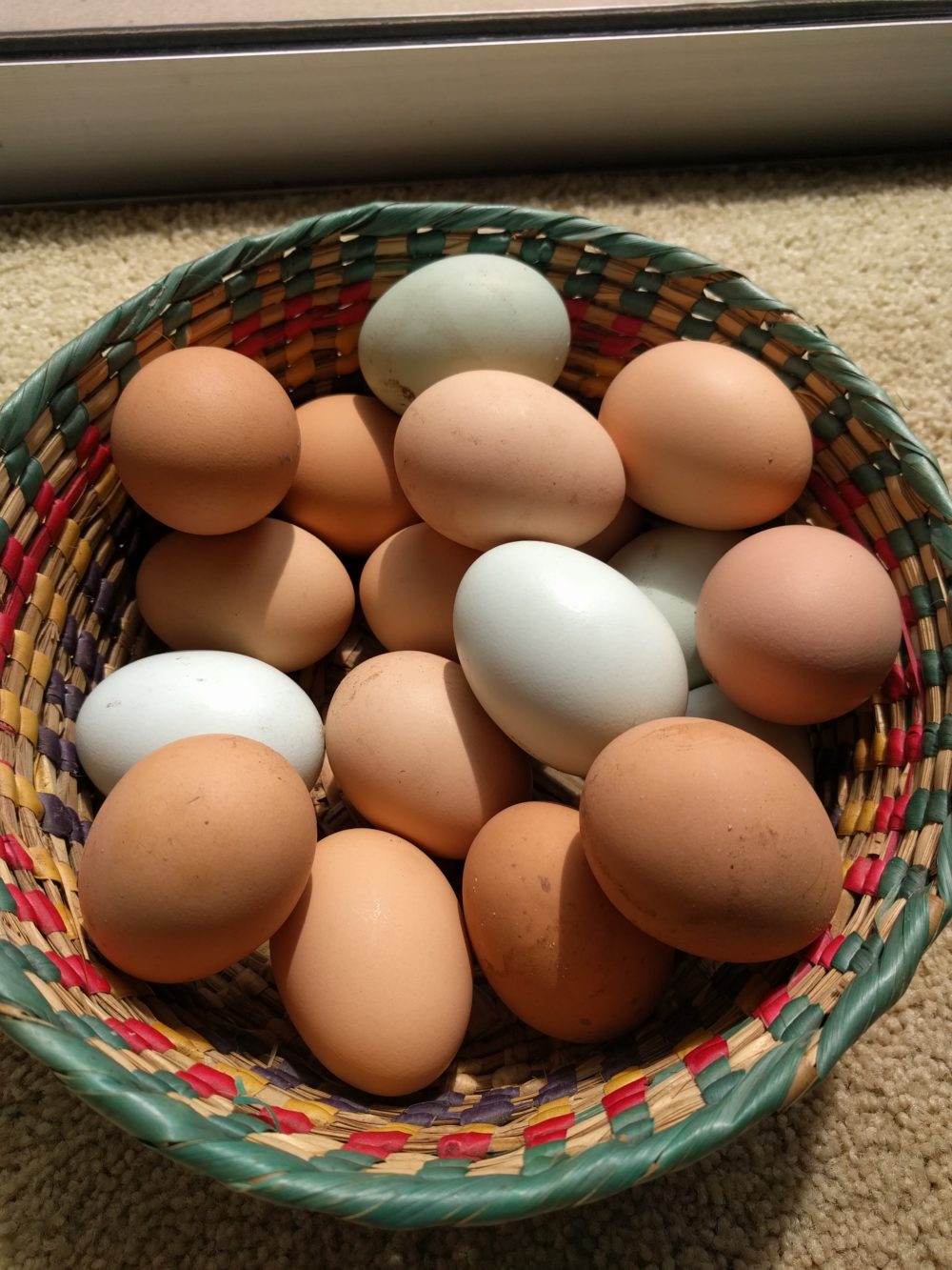 Backyard Chicken Eggs Greg Alder s Yard Posts Food Gardening In 