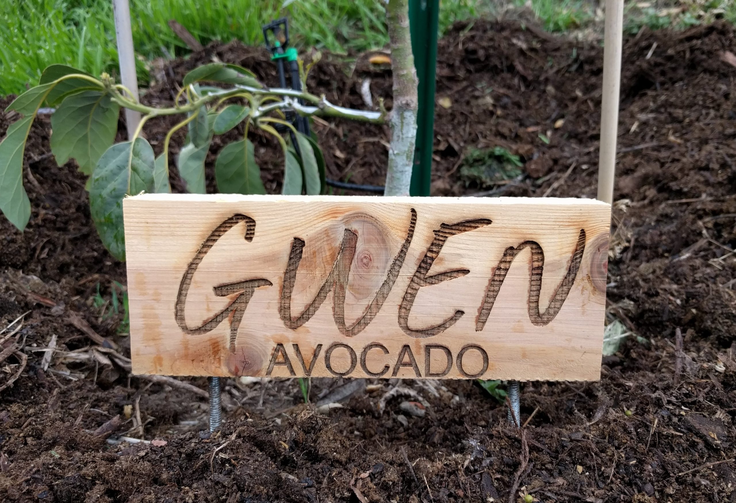 Custom signs for fruit trees - Greg Alder's Yard Posts: Southern ...