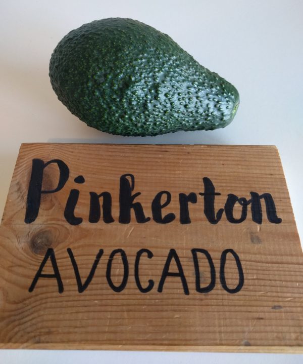 Custom signs for fruit trees - Greg Alder's Yard Posts: Southern ...