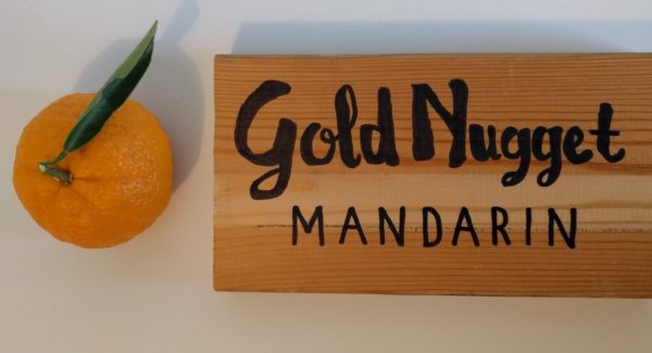 Custom signs for fruit trees - Greg Alder's Yard Posts: Southern ...