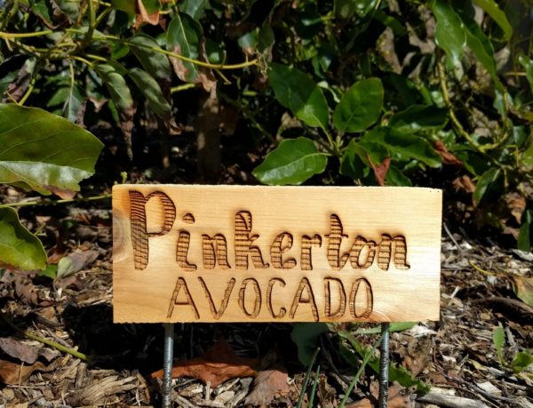 Custom signs for fruit trees - Greg Alder's Yard Posts: Southern ...