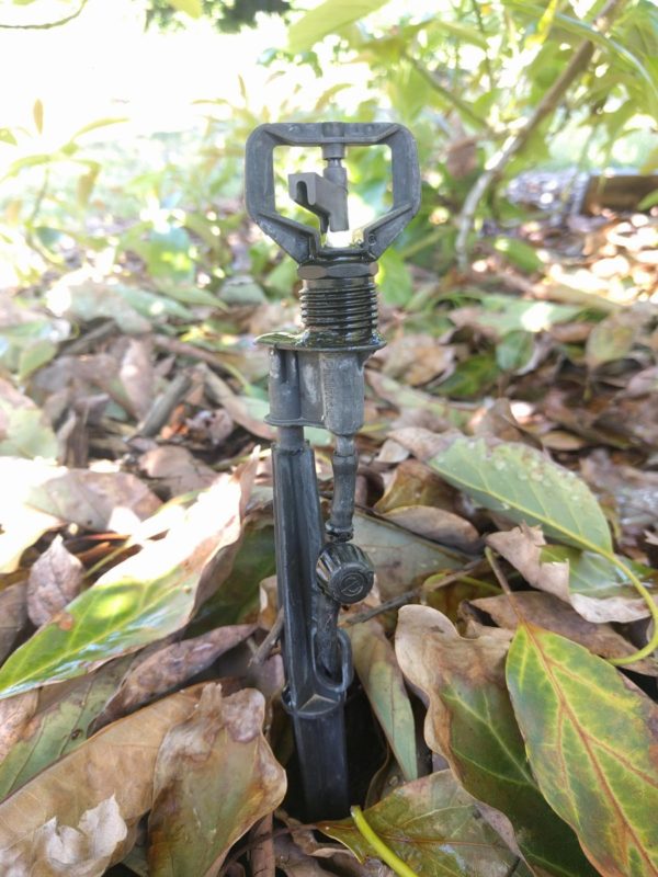 Setting up micro-sprinklers under fruit trees - Greg Alder's Yard Posts ...
