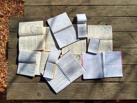 Taking notes on your garden - Greg Alder's Yard Posts: Southern ...