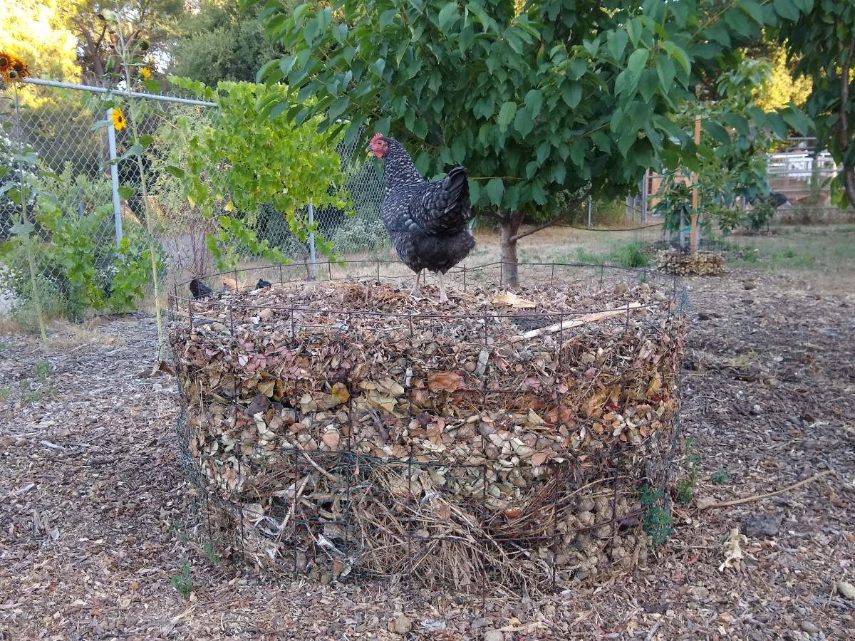 Composting In Southern California at Mia Stanfield blog