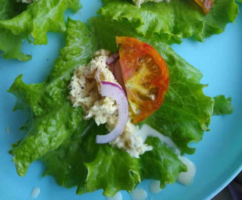 Growing summer lettuce in Southern California - Greg Alder's Yard Posts ...