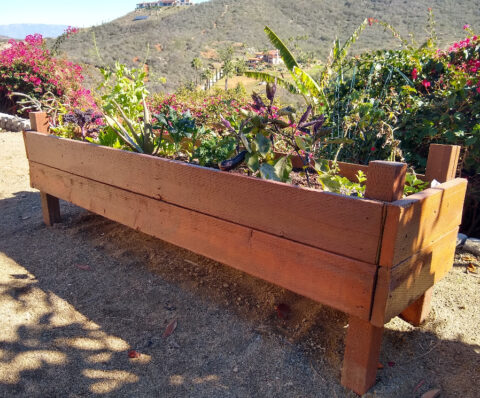 Growing vegetables in raised boxes - Greg Alder's Yard Posts: Southern ...