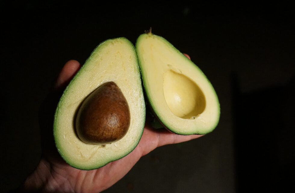 Avocados Archives - Greg Alder's Yard Posts: Southern California food ...
