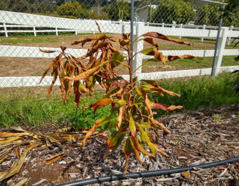 The accuracy of weather and climate forecasts - Greg Alder's Yard Posts ...
