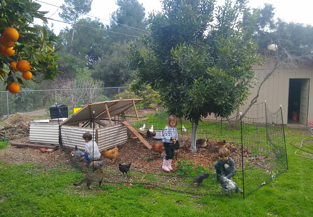 Backyard farming: Scaling up your garden - Greg Alder's Yard Posts ...