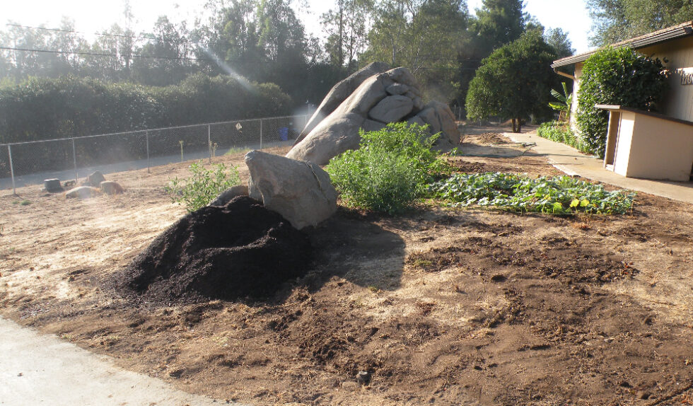 My yard: 10 years of growing - Greg Alder's Yard Posts: Southern ...