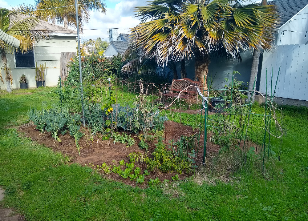 Cher's garden of gratitude - Greg Alder's Yard Posts: Southern ...