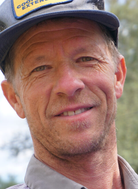 How far apart to plant avocado trees - Greg Alder's Yard Posts ...