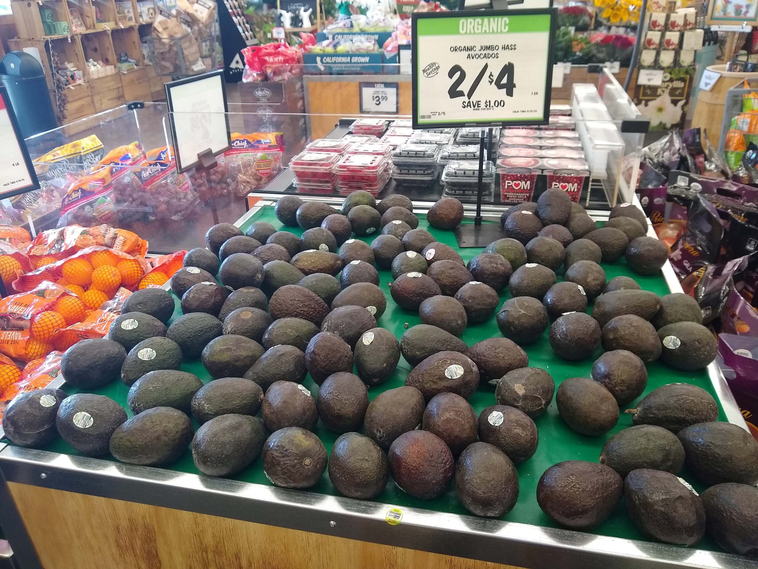 Why only one variety of avocado in grocery stores? with Mary Lu Arpaia ...