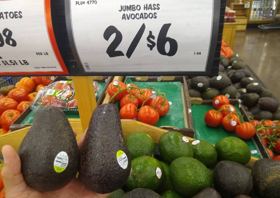 Avocados Archives - Greg Alder's Yard Posts: Southern California food ...