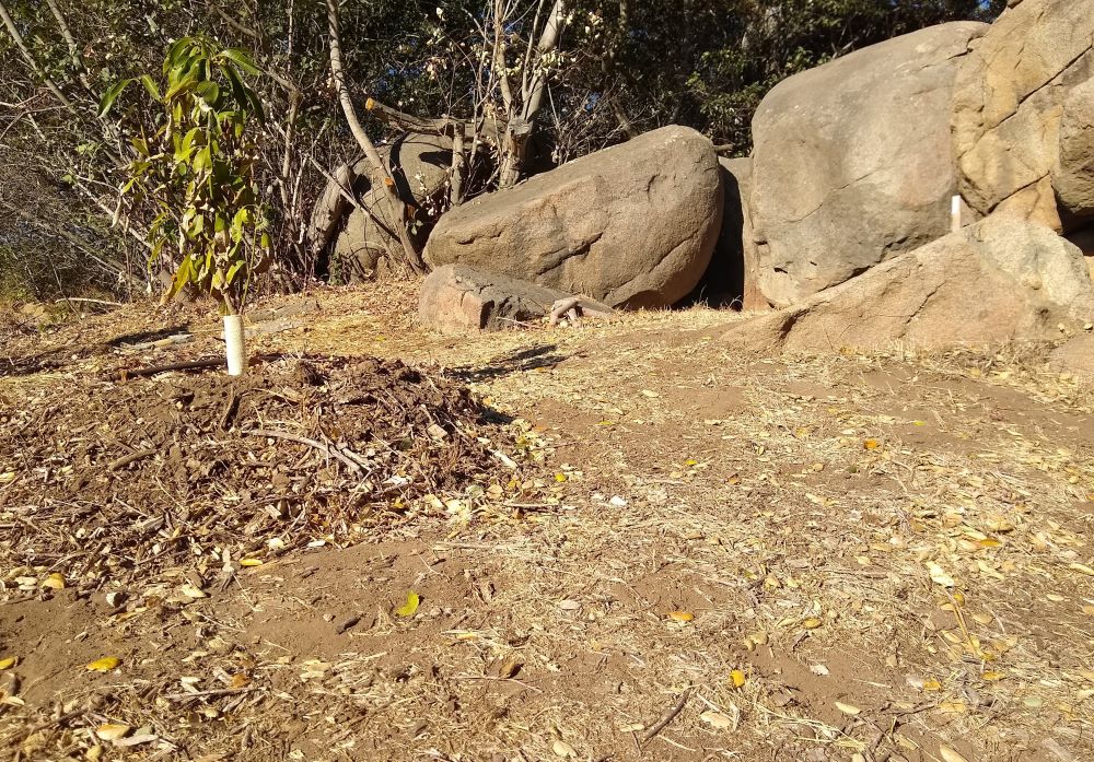 How dry, this fall? - Greg Alder's Yard Posts: Southern California food ...
