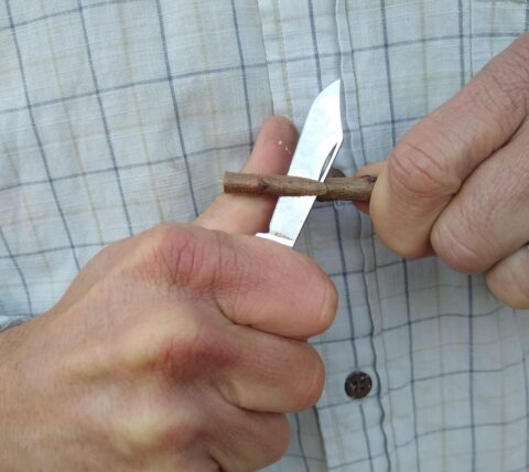 2025 Scion Exchanges (of the California Rare Fruit Growers) - Greg ...