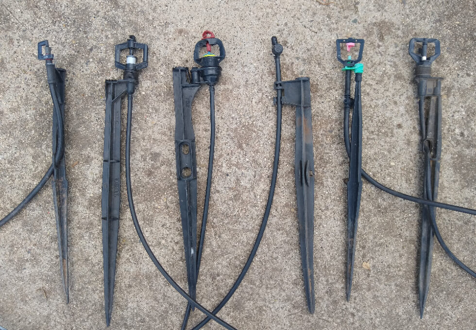 Drip irrigation versus micro-sprinklers for fruit trees - Greg Alder's ...